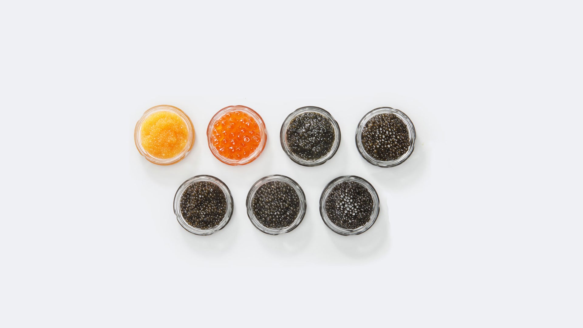 Educational Caviar Tasting In-House – Seattle Caviar Co.